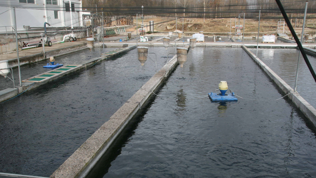 El grupo Aqualande adquiere la piscifactoría de Fuentidueña