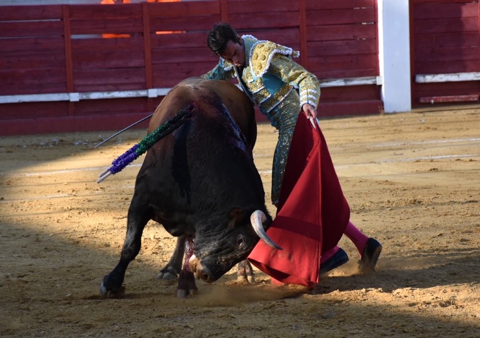 El arte suma otro nombre: Alejandro Marcos