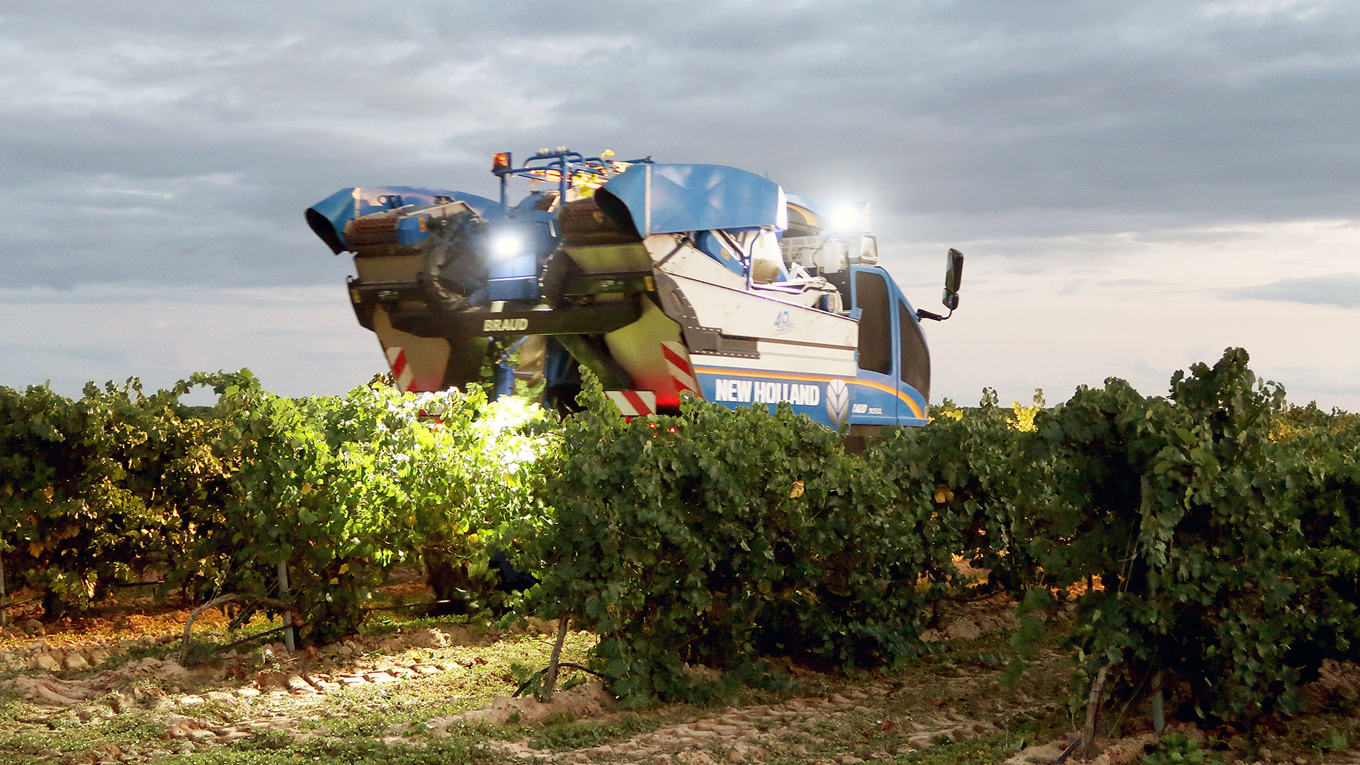 El sector vinícola prevé una vendimia con menos producción pero una uva ...