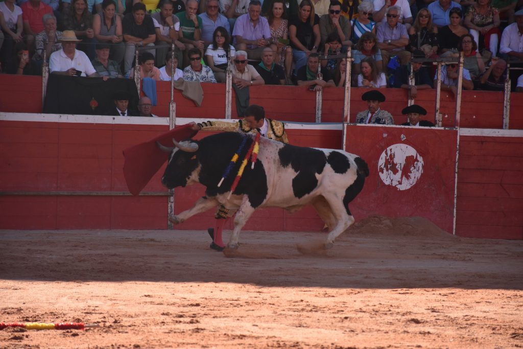 Riaza: Barcial, en el sótano de la casta