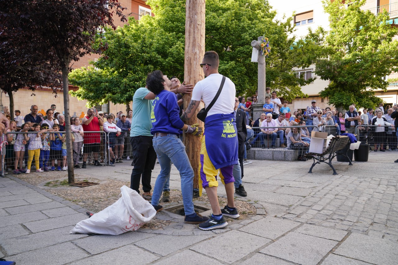 Pregón y subida del ‘mayo’ en el Cristo del Mercado
