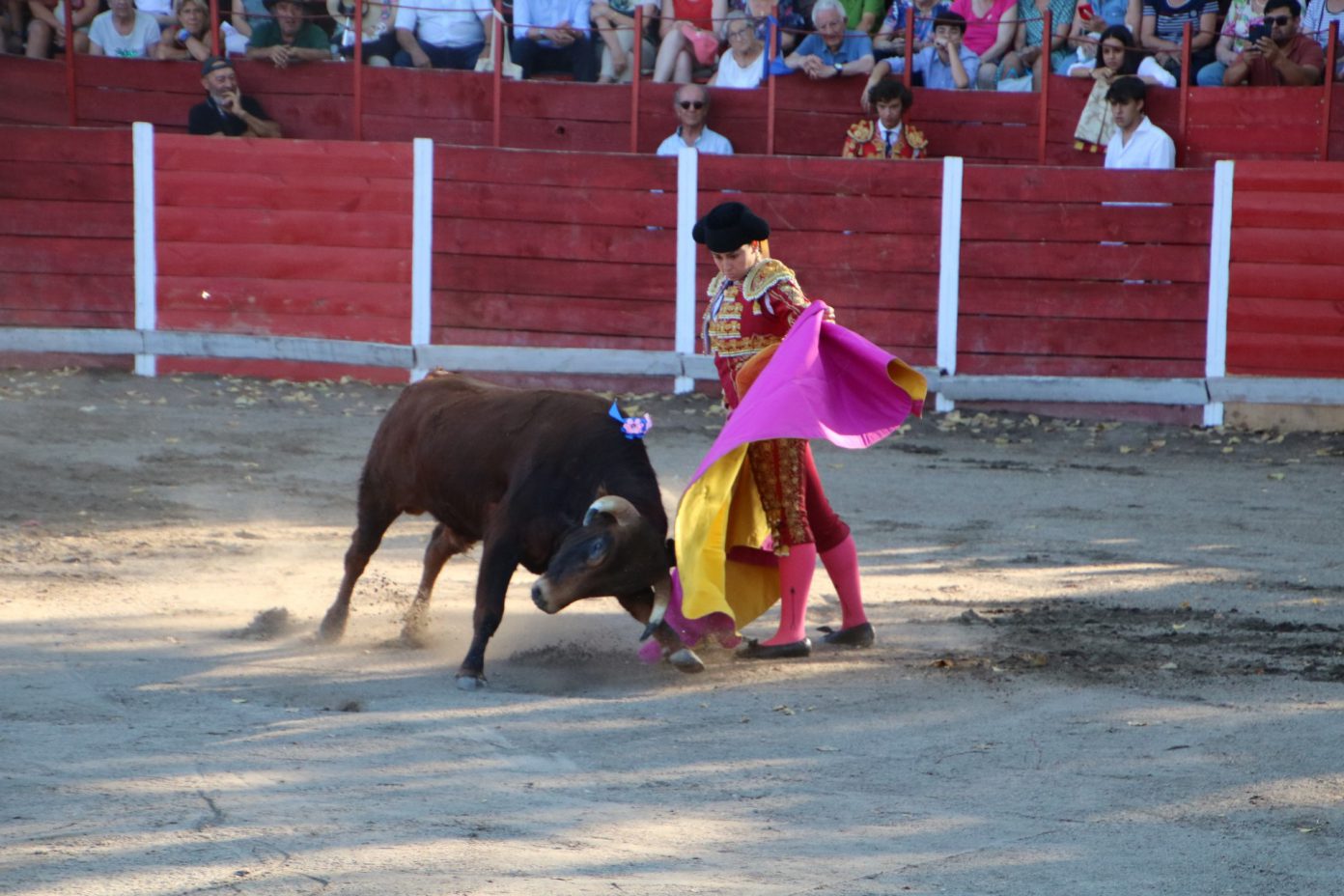 La novillera Olga Casado es profeta en Aguilafuente